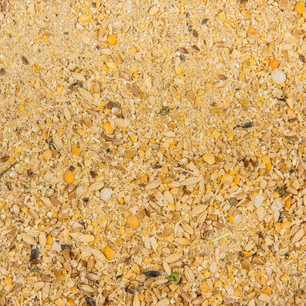 [GP492] Big Sky Organic Feed Poultry Layer Mash, No Soy, 50 lbs – A ...